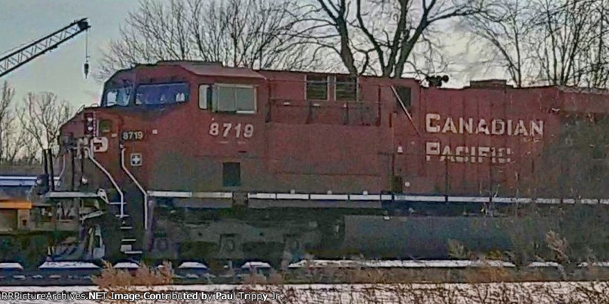 CP 8719